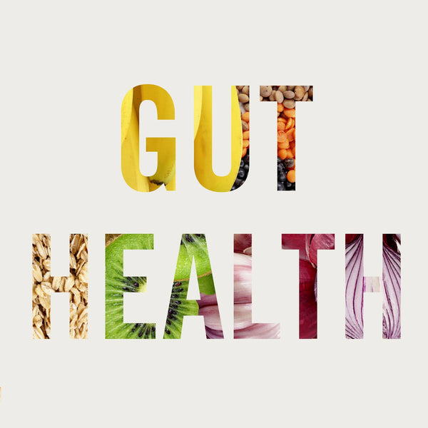 Why a healthy gut is crucial and how Structured Silver helps – Salus ...
